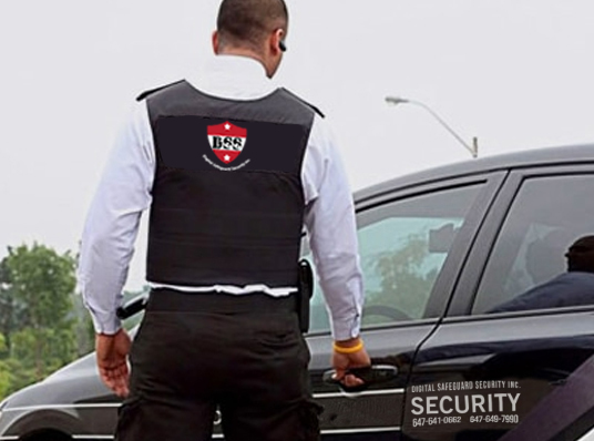 dssguards.com – safeguardsecurity